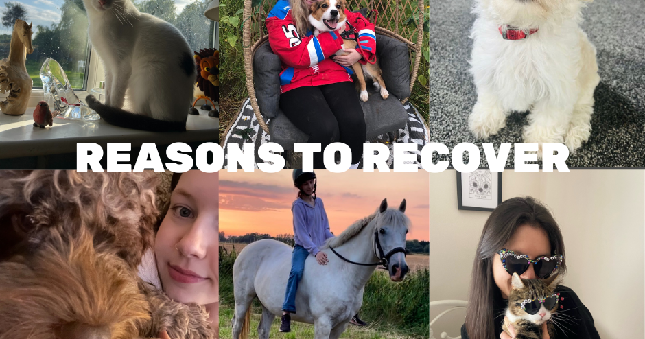 Reasons to recover: how our furry friends helped us in recovery